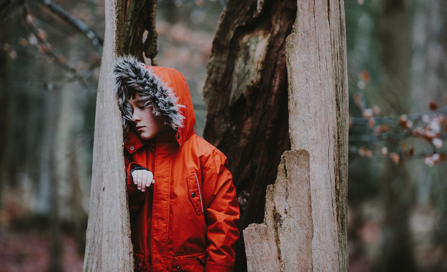 What Happens When a Highly Sensitive Person Grows Up with Emotional ...
